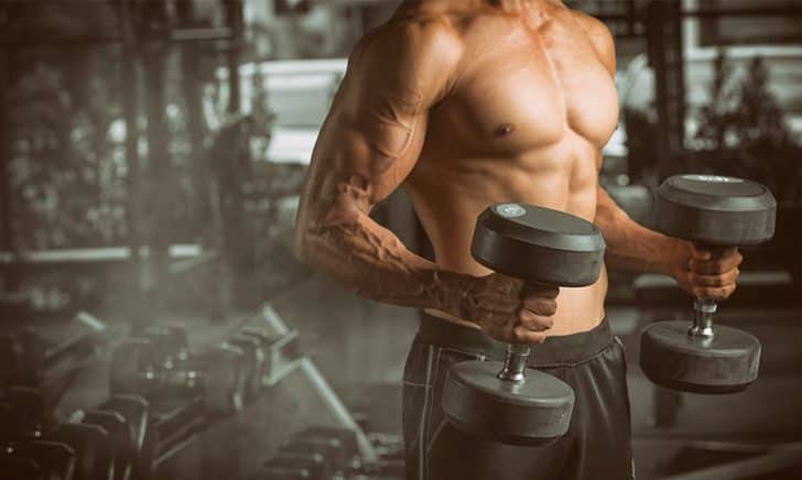 תכנית אימון לכוח - 8 שבועות של ברזל | וואן בודי